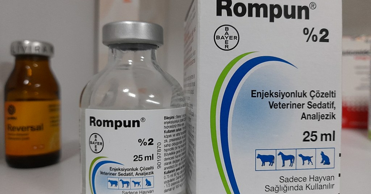 As fentanyl scourge spreads, authorities worry about a new drug, animal ...