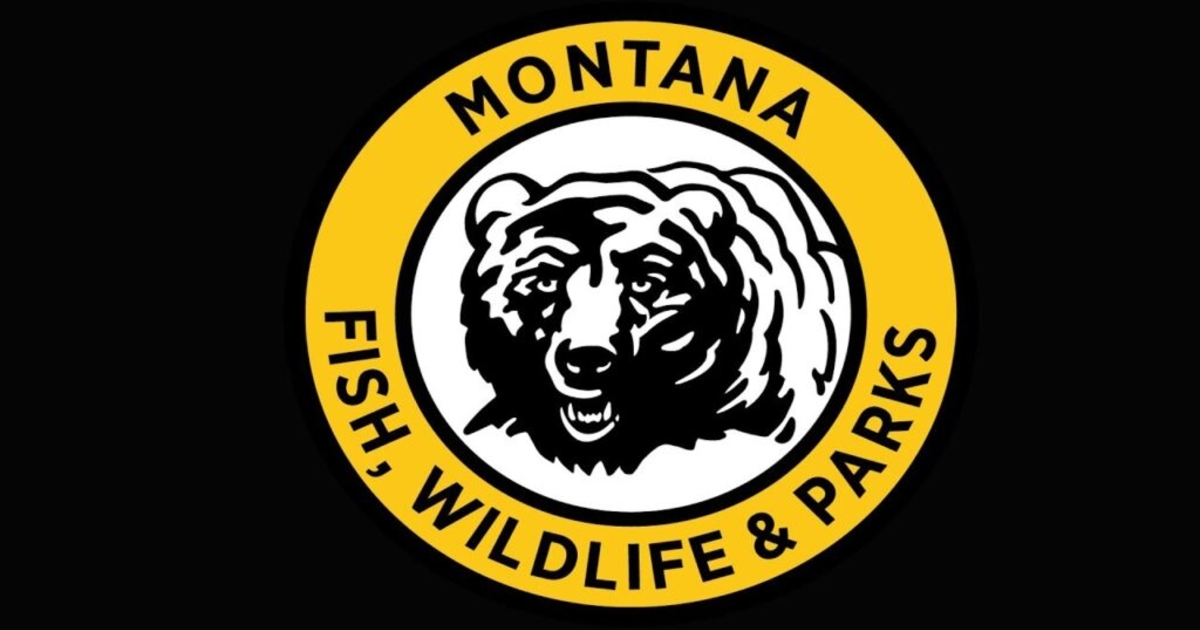 FWP still seeking information on moose killed near Bozeman | News From ...