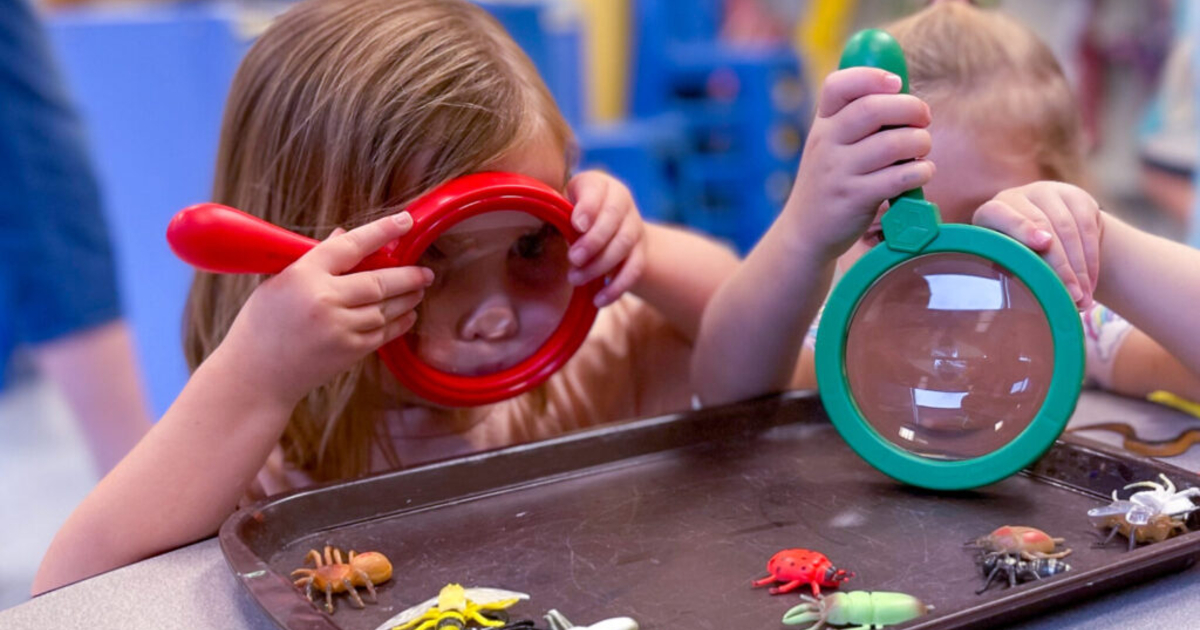 Dems, GOP members of US House panel split on solution to high cost of ...