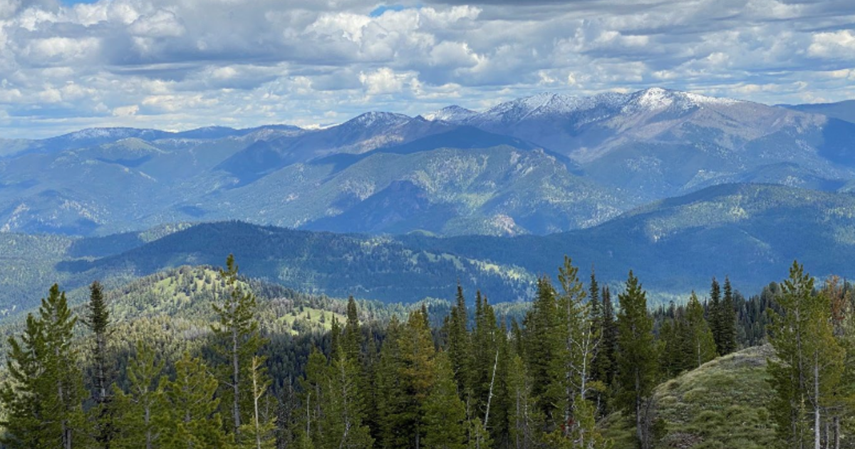 Lawsuit challenges logging, burning project planned in Bitterroot ...