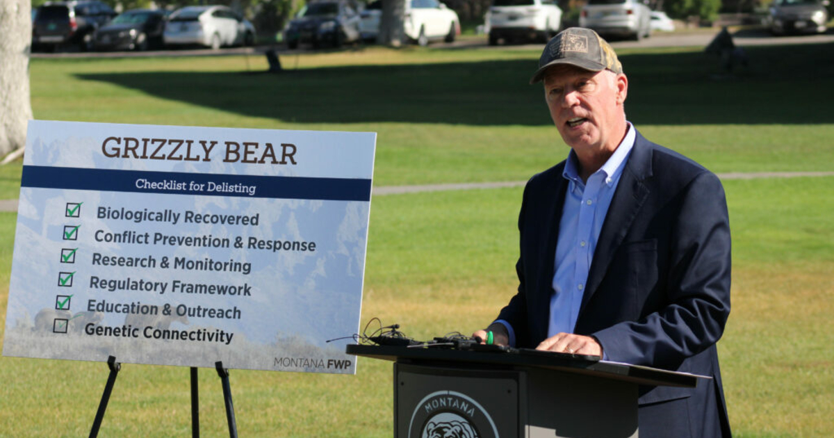 Gianforte, FWP say grizzly translocations shows Montana ready for ...