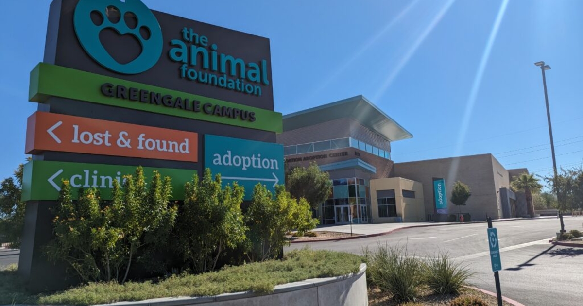 Animal Foundation more than doubled fiscal loss in 2024 | News From The ...