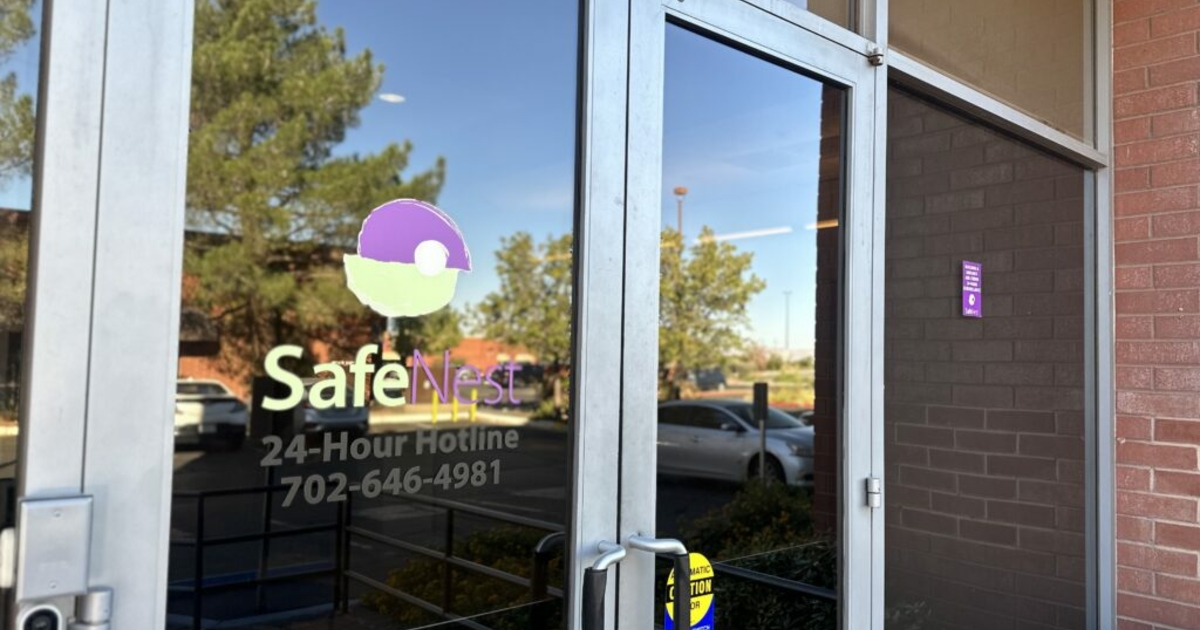 Lawmakers award SafeNest $9M to centralize services for domestic ...