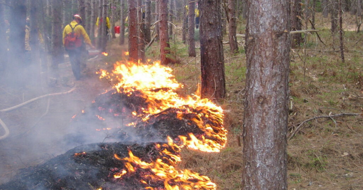 Bringing Indigenous fire practices back to New Hampshire | News From ...