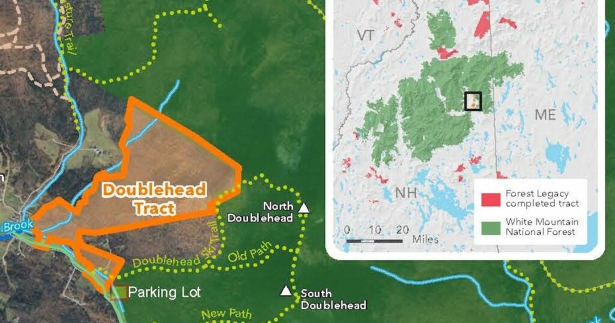 Dundee Community Forest: 1,250 acres conserved in Mount Washington ...