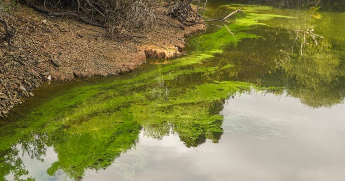 What’s next after Legislature overturned veto of bill targeting ...