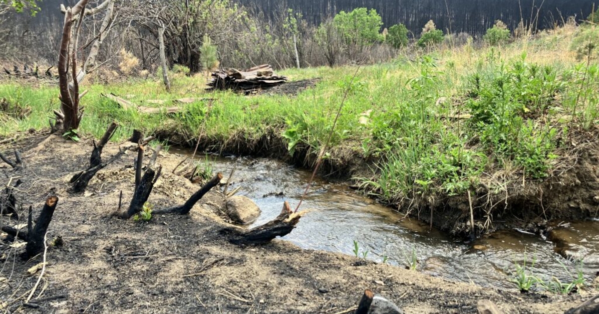 Mora County still struggling amid flooding disasters | News From The States