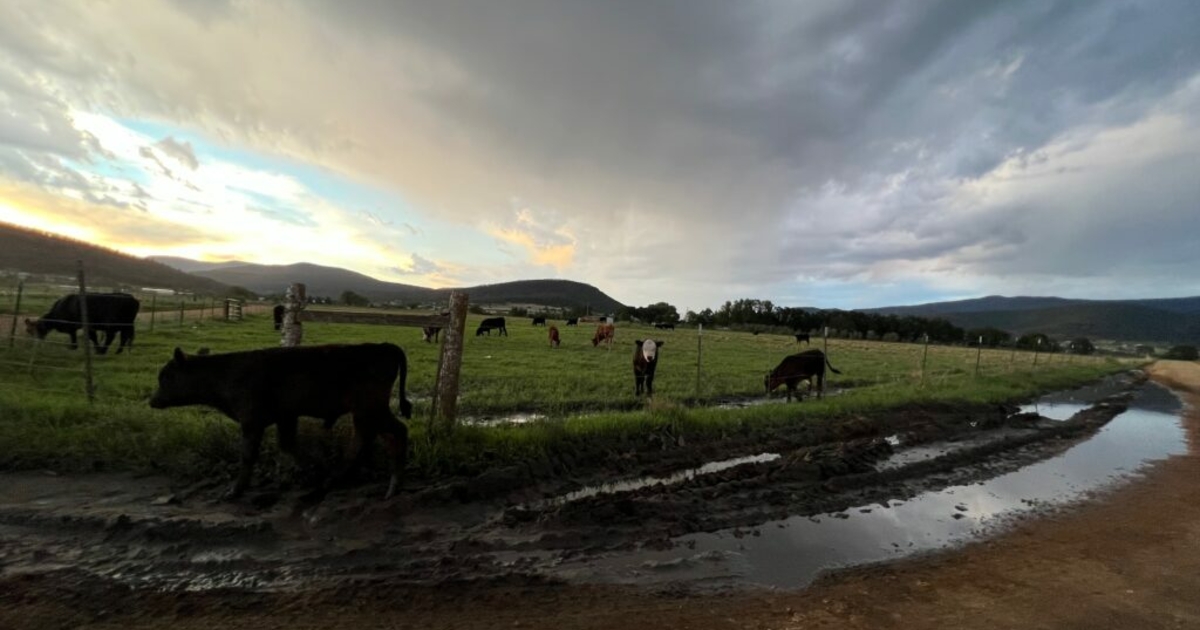 FEMA’s buyout program reduces flood risk. But does it deepen ...