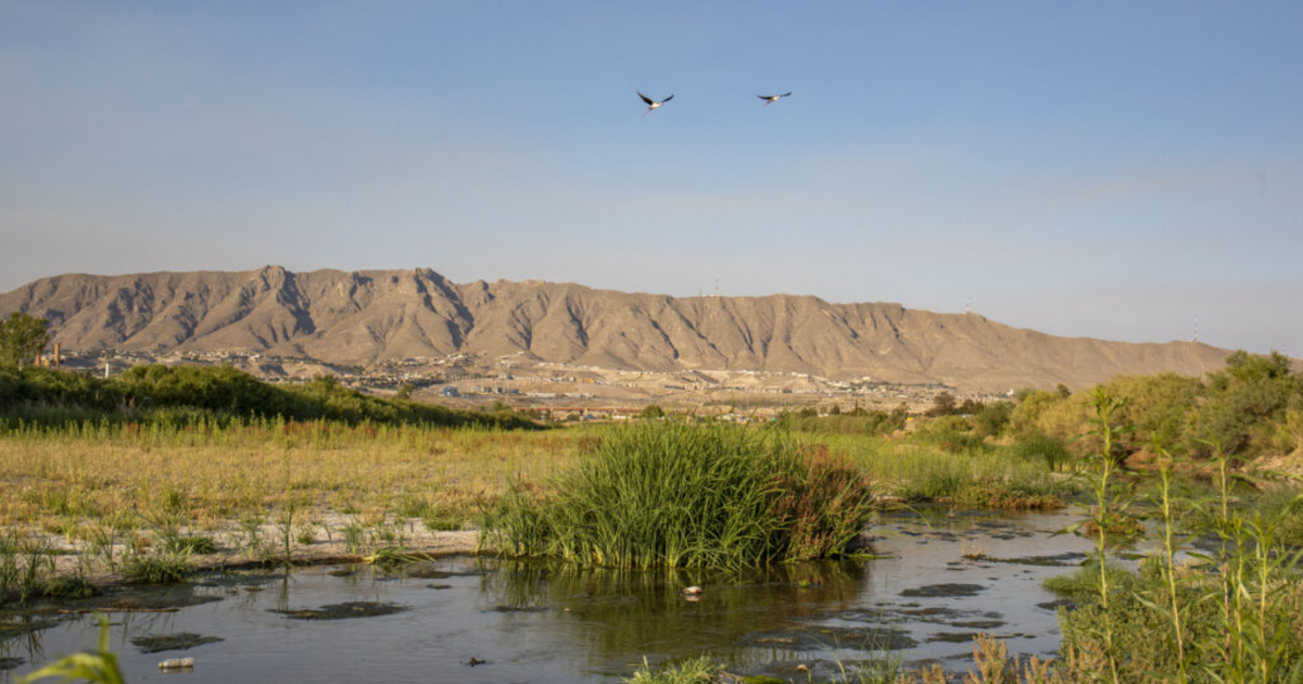 U.S. Supreme Court approves Texas v. New Mexico settlement to end Rio ...