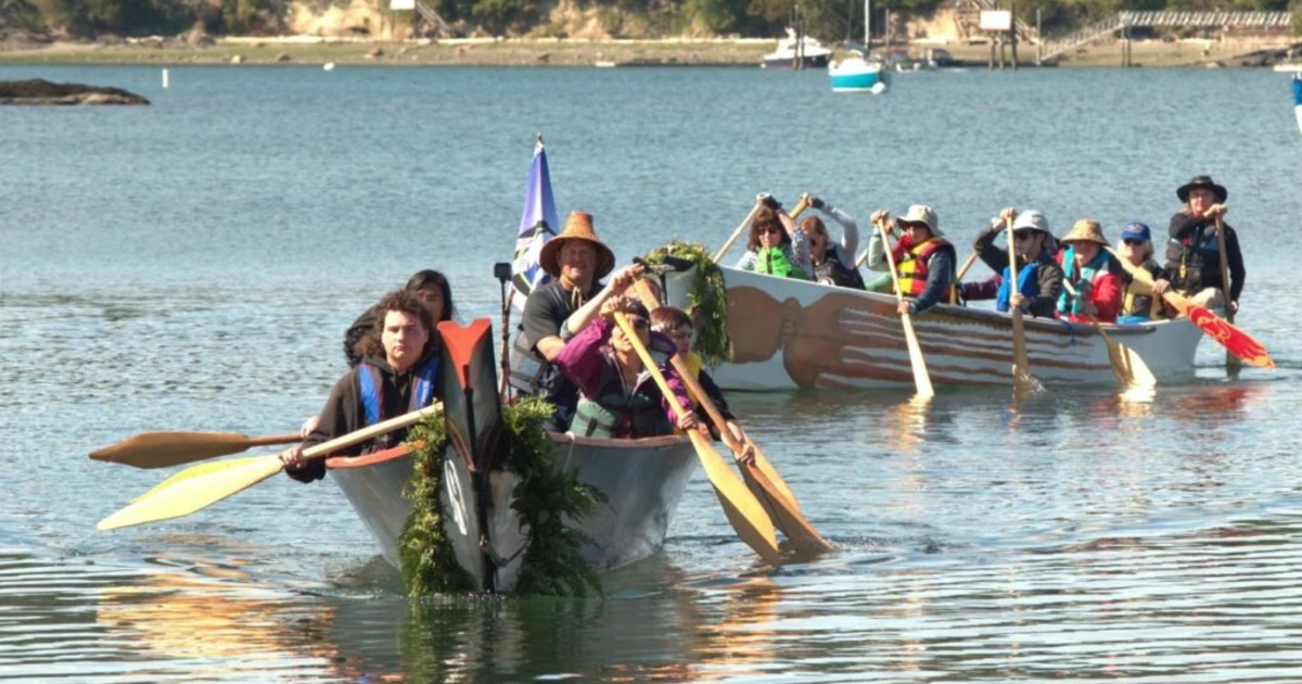 Traditional canoes return to the waters of the Pacific Northwest | News ...