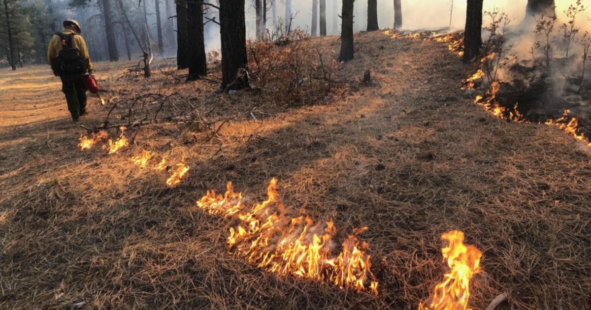 As U.S. Forest Service prescribes more fire, rangers work to convince ...