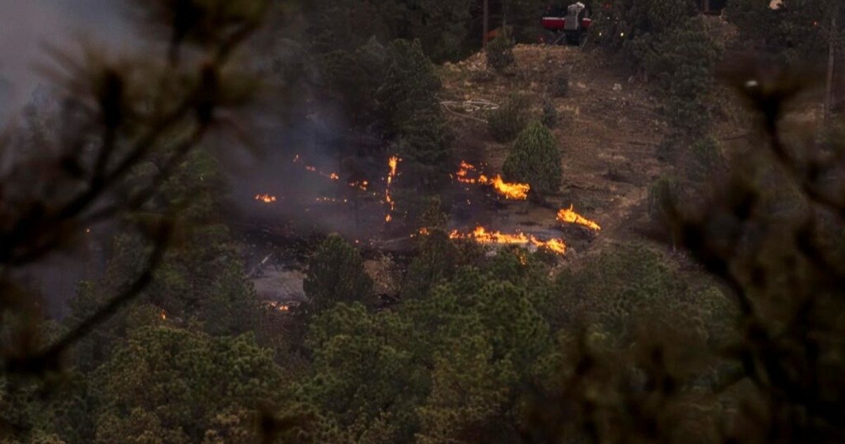 Feds, N.M. investigators say lightning caused South Fork Fire; Salt ...
