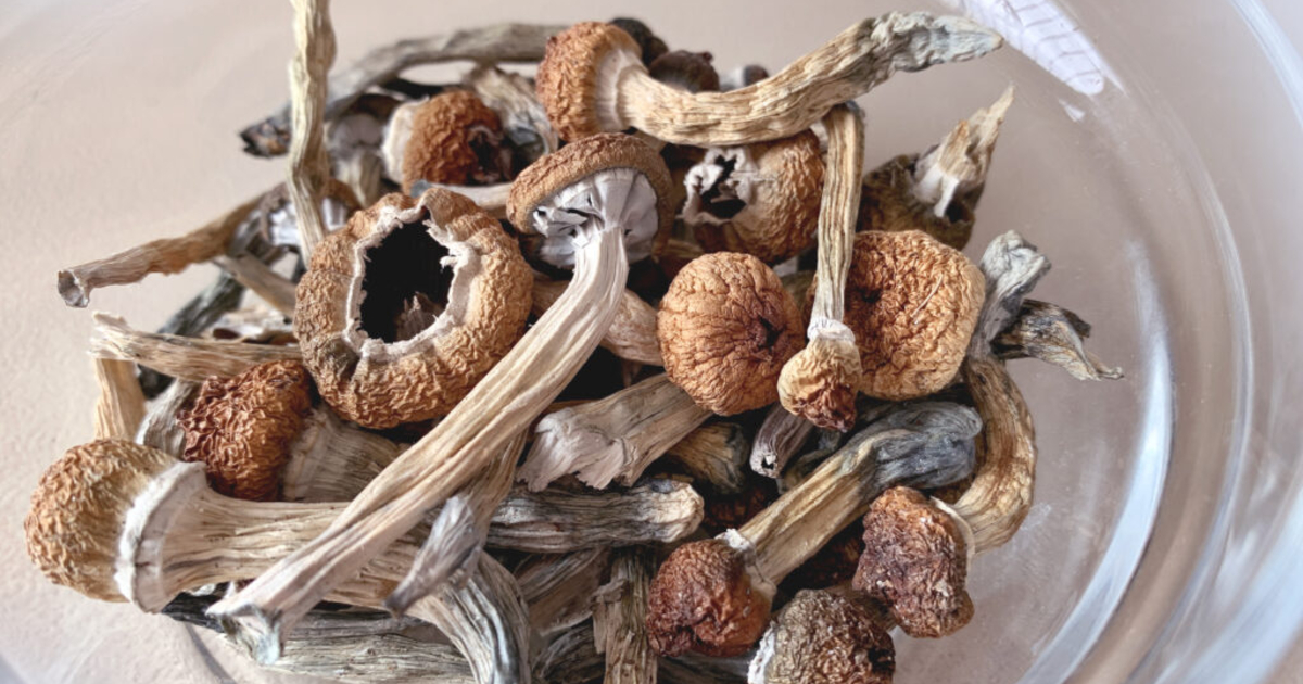 New Mexico health officials aim to kick off medical psilocybin program ...