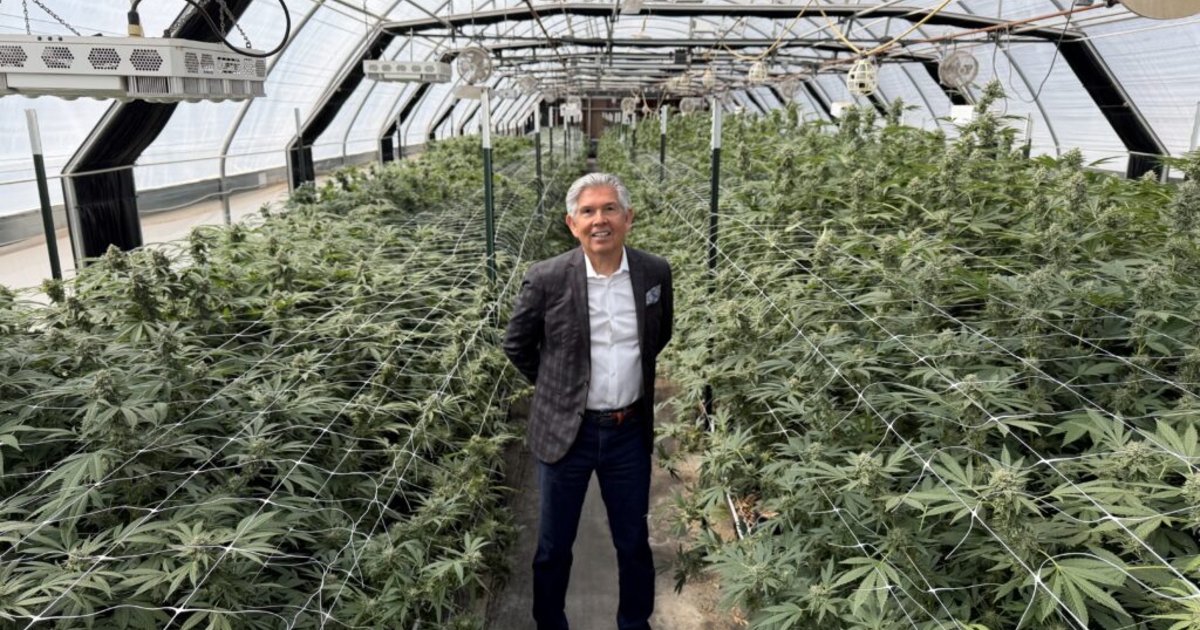 New Mexico Primary 2026: GOP governor candidate Duke Rodriguez | News ...
