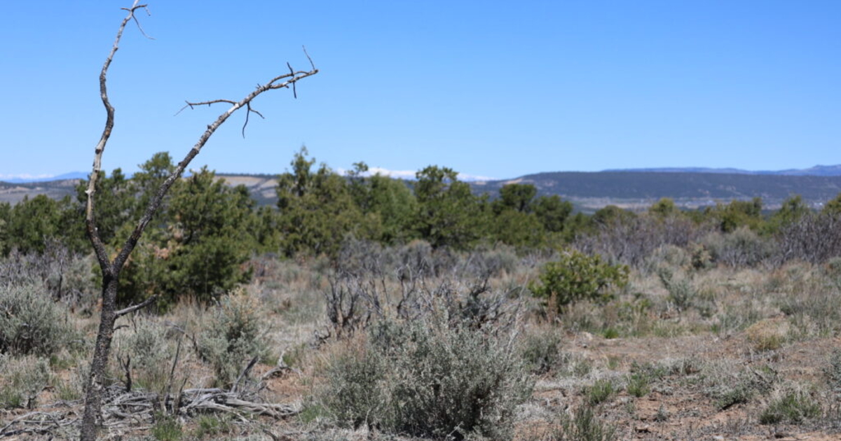 Continental Divide Trail Coalition raises alarm about NM uranium mine ...