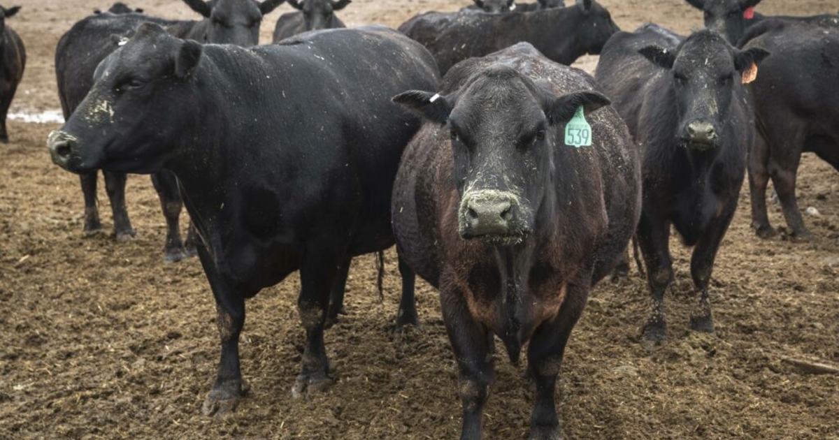 Feds give Oregon groups $100 million for sustainable farming, ranching ...