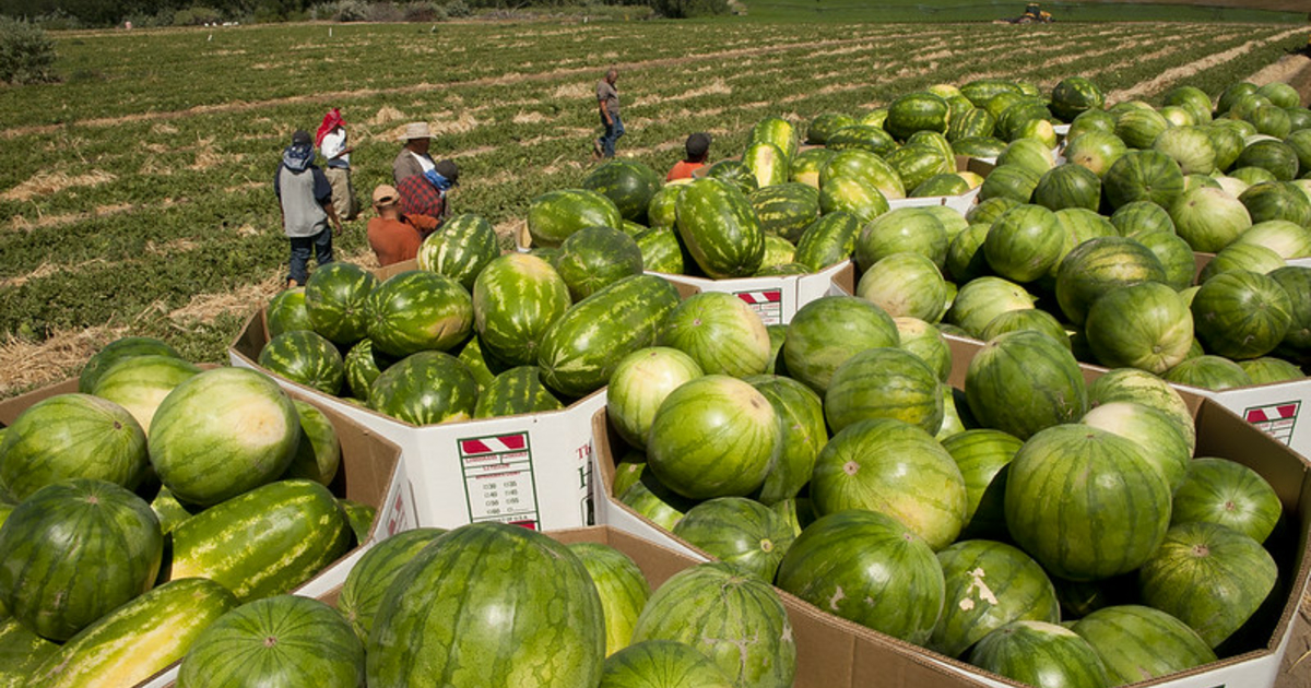 Environment, climate policies mostly took a backseat during Oregon’s ...