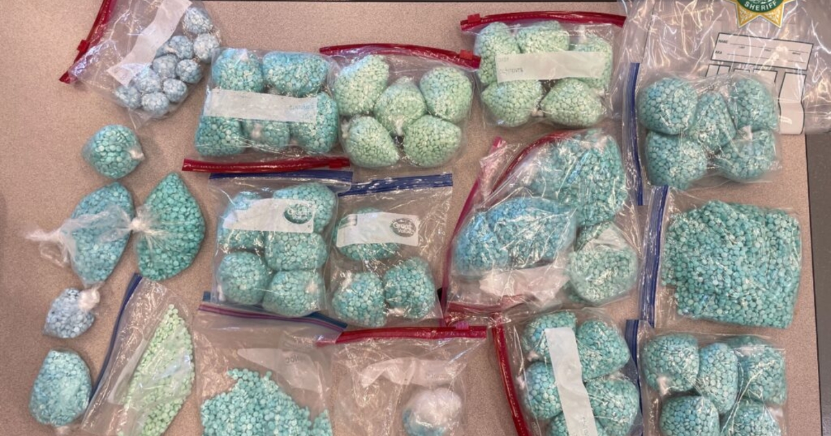 Rising crime, overdoses reflect pre-pandemic trends – not drug ...