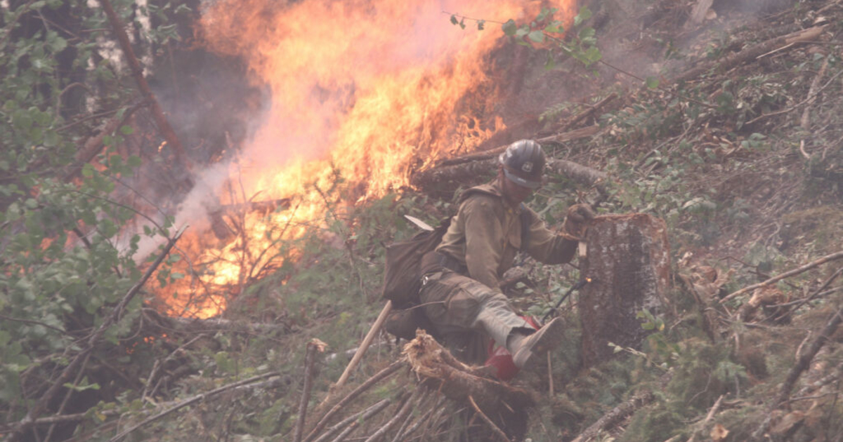 Portland officials monitor wildfire near water source as large blazes ...
