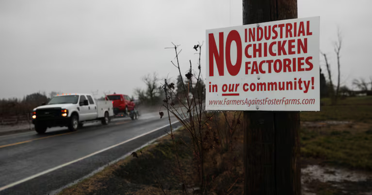 Controversial Linn County chicken ranch put on hold following permit ...