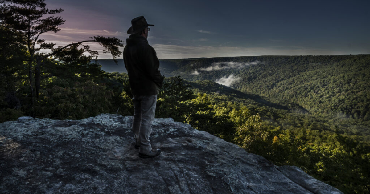 85,000 acres of Tennessee’s national forests open for logging under ...