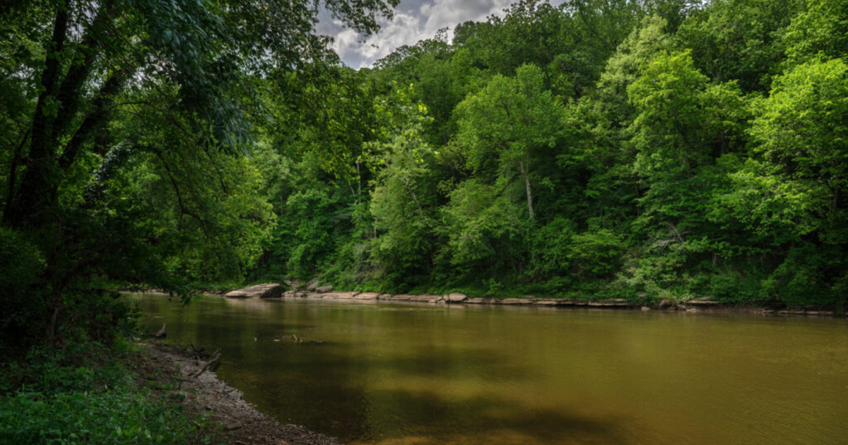 TDEC: $100M Duck River budget ask could be used toward regional ...