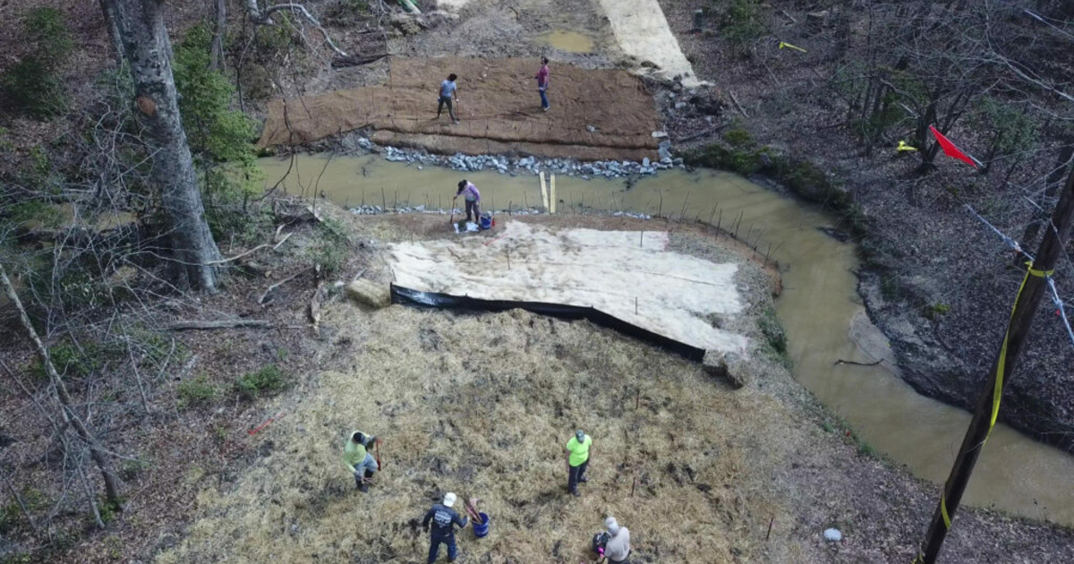 Officials got rid of an abandoned road culvert. Now migrating fish can ...